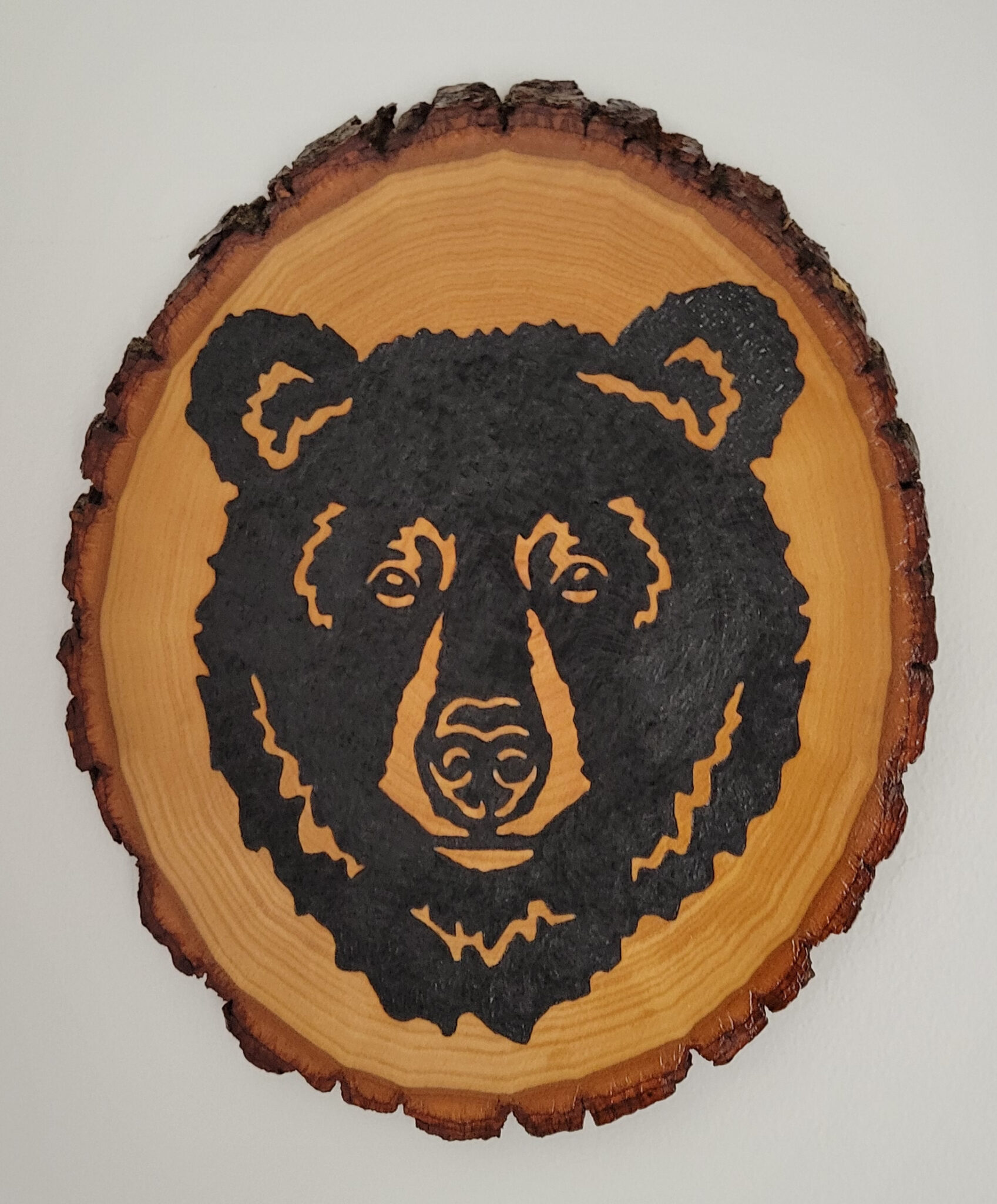 Bear Face Silhouette - Solar Pyrography Art - SunFunArt